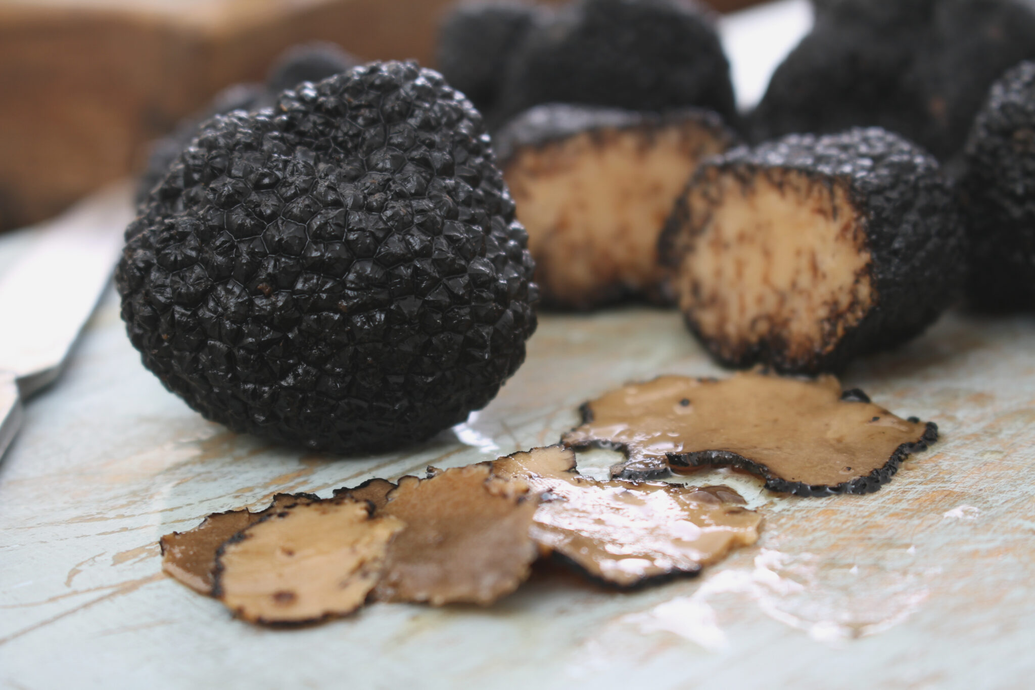 Prix du kilo de truffes : découvrez les différences de qualité